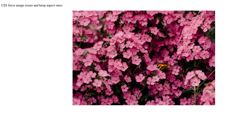 CSS Force Image Resize And Keep Aspect Ratio