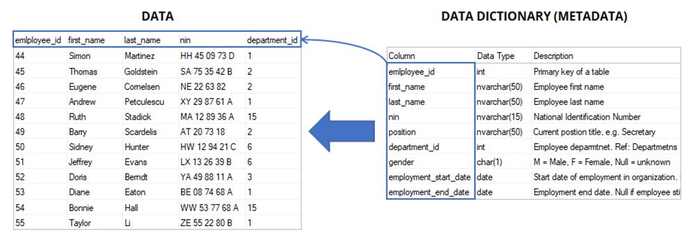 Data Dictionary In DBMS