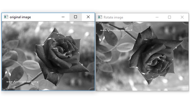 Rotate A Grayscale Image By 180 Degree Without Using Any Inbuilt Function In Python